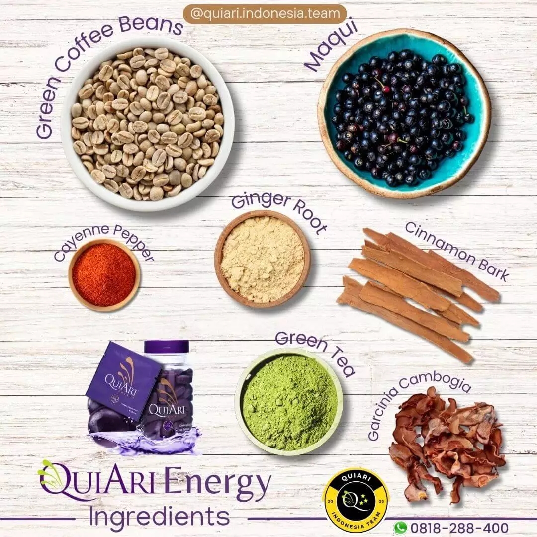 QuiAri Energy - Bisnis QuiAri Indonesia