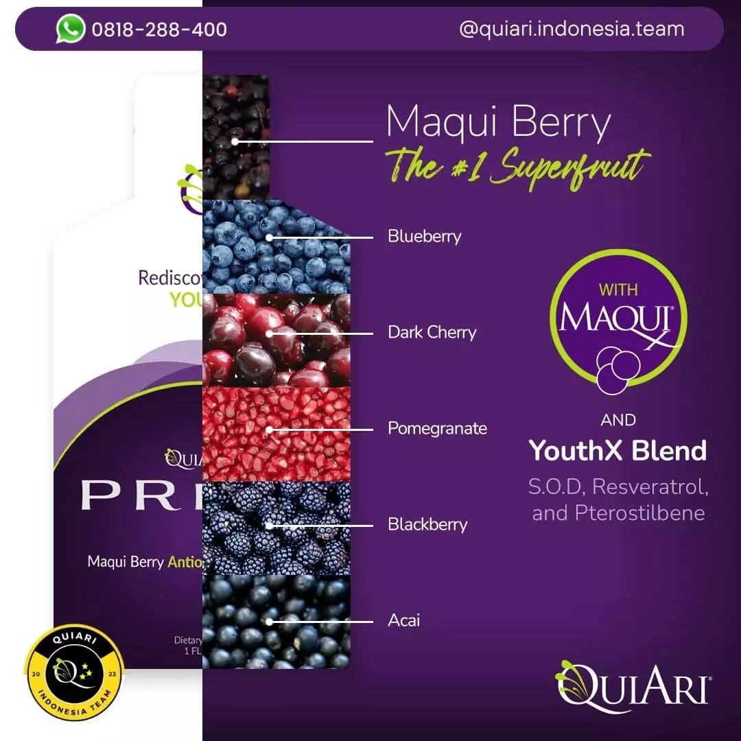 QuiAri Prime Gel - Bisnis QuiAri Indonesia