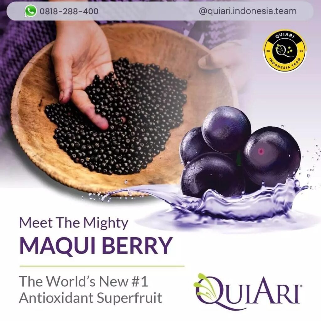 QuiAri Energy - Bisnis QuiAri Indonesia
