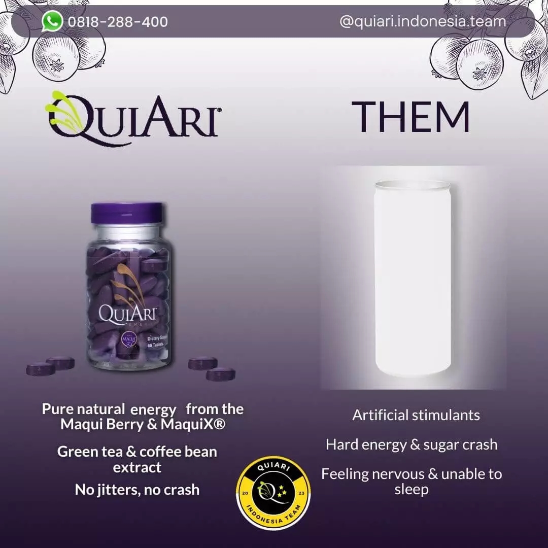 QuiAri Energy - Bisnis QuiAri Indonesia